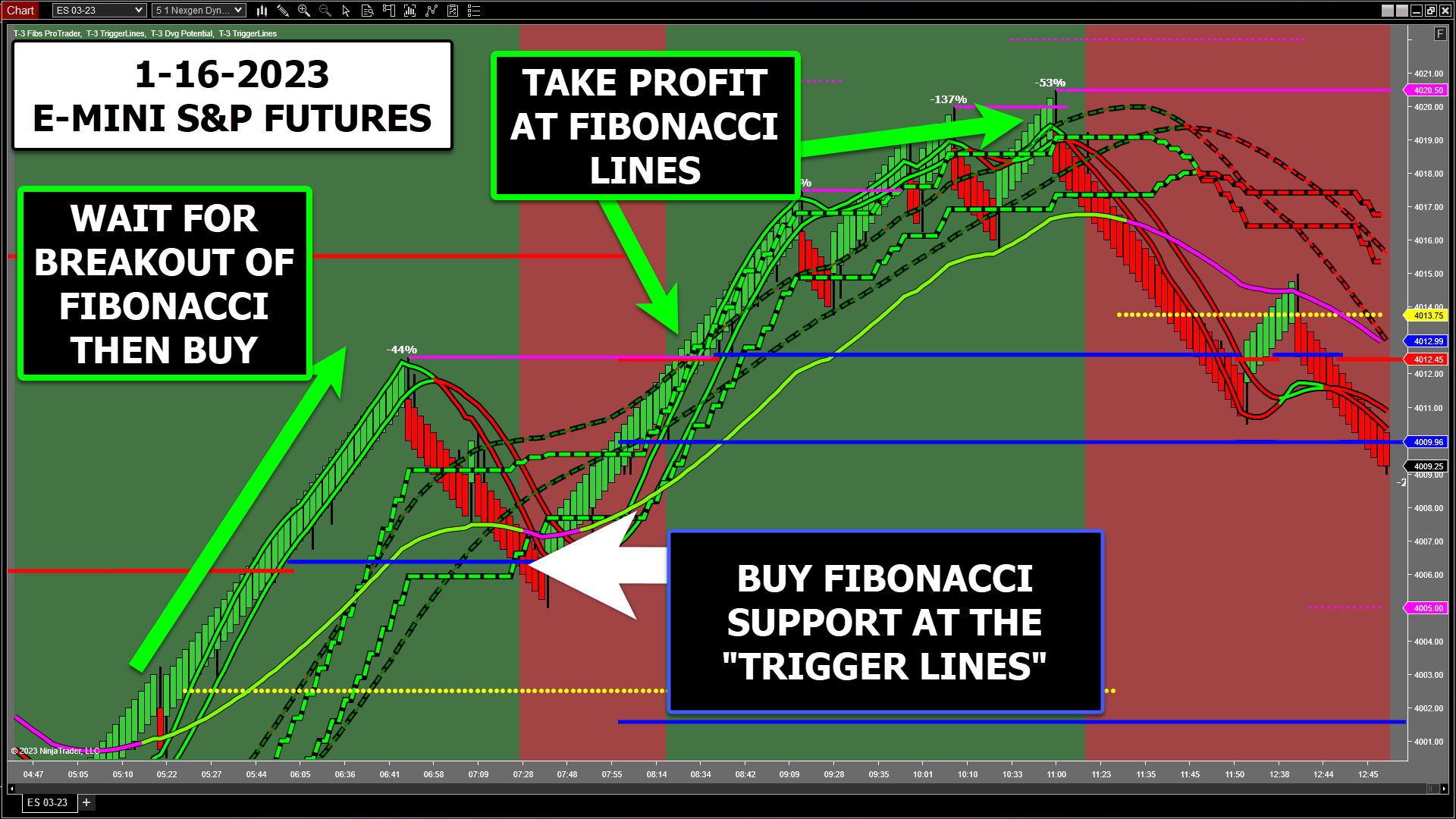 Fibonacci Day Trading Software - Nexgen Software Services